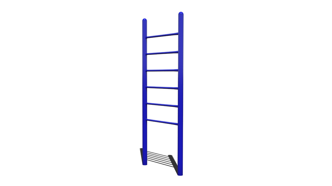 Vertical Ladder